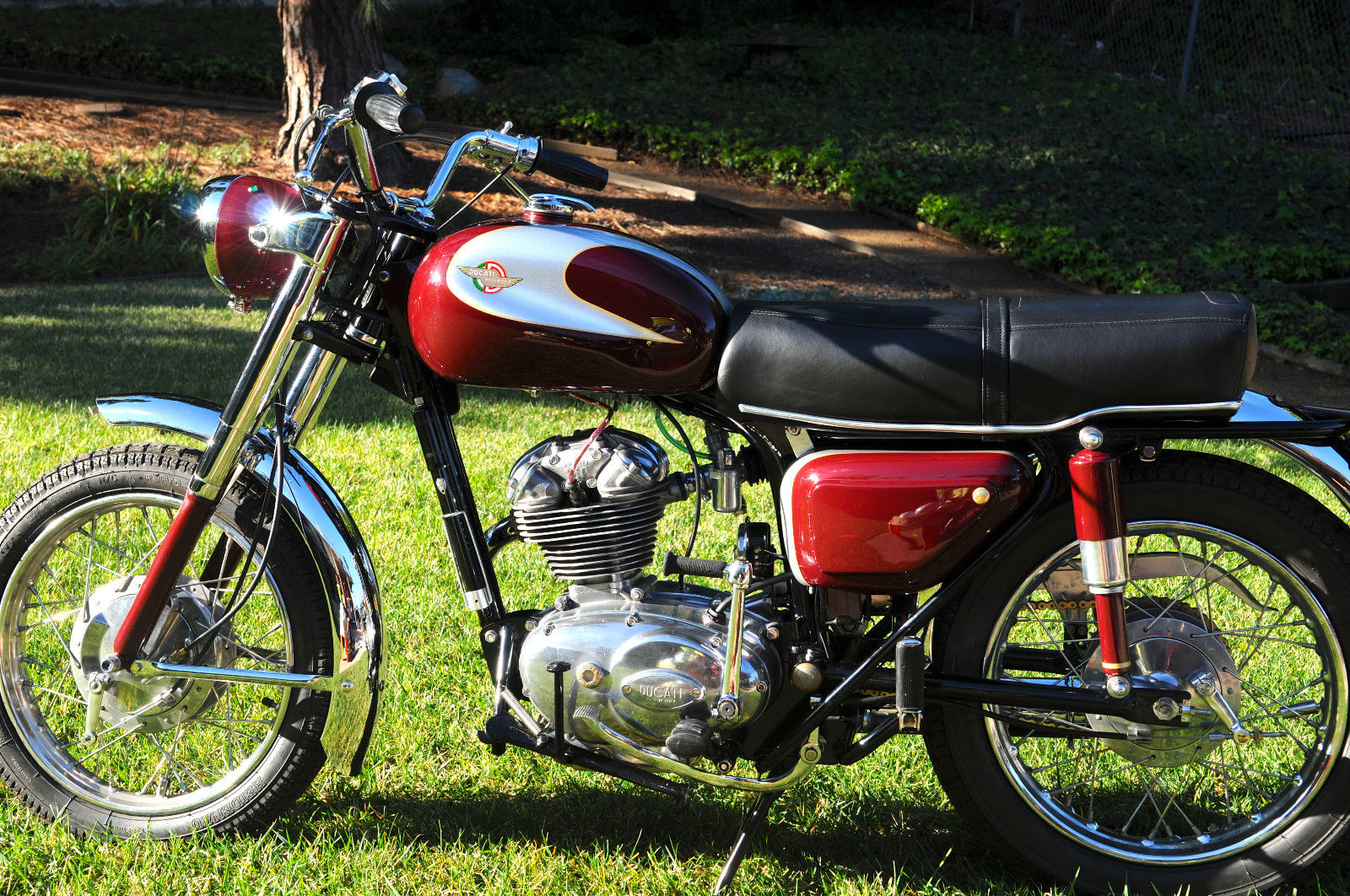 Ducati 160 Monza Junior – Left Side | Bike-urious