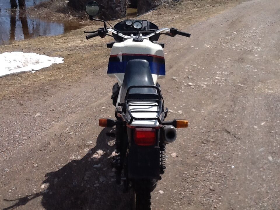 Moto Guzzi NTX650 – Rear | Bike-urious