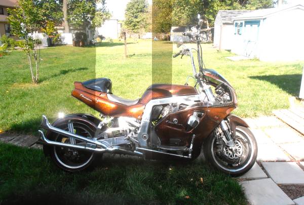 Sports Hog – Right Side | Bike-urious